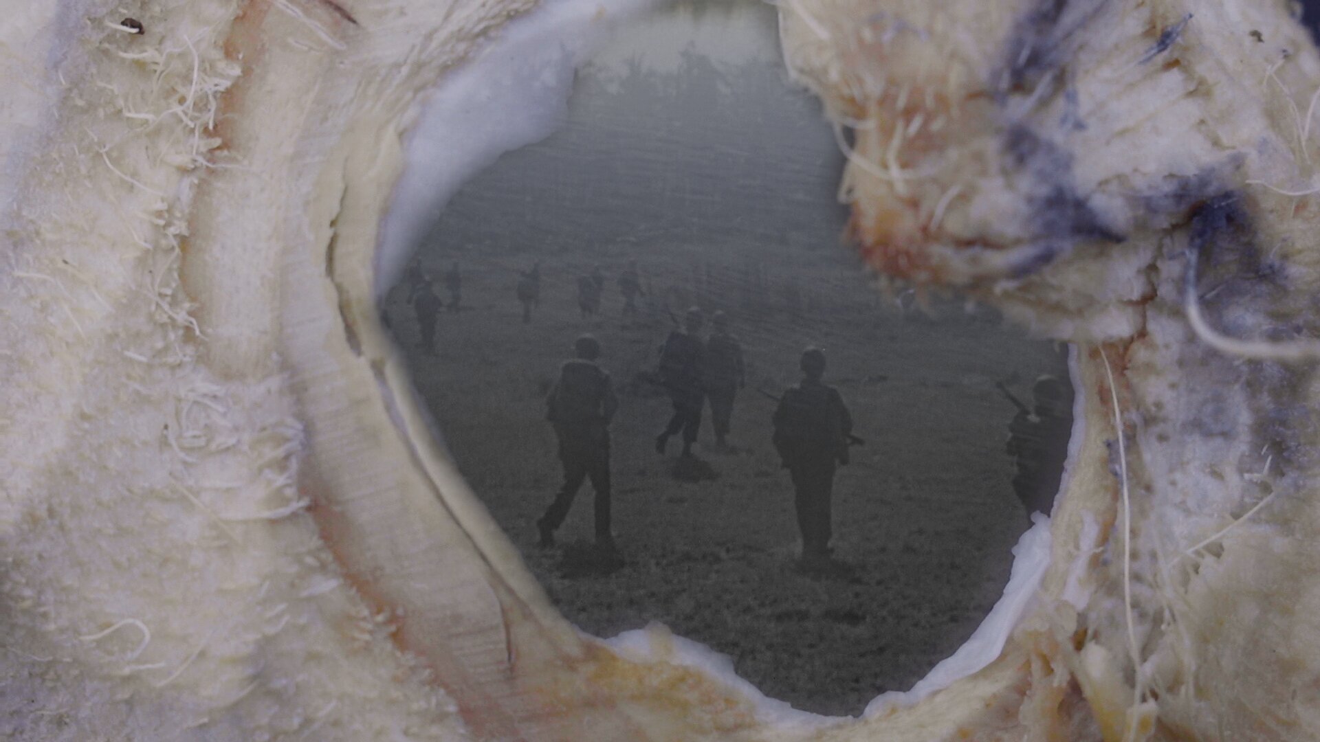"Nowhere Near" Reflects the Fractures of Being an Undocumented Filipino ...