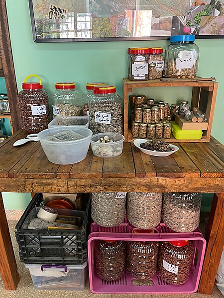 Vivien Sansour Plants Seeds of Hope for Palestine - Asian American Arts ...