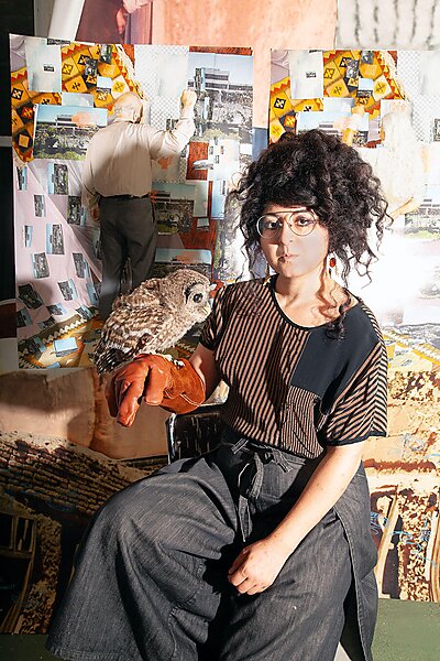 Sheida Soleimani on Creating Political Poetry Through Images - Asian ...