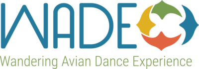 WADE Dance HUB: Italy 2023 - WADE Dance - Asian American Arts Alliance